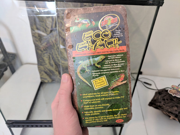 How to Set Up a Tree Frog Terrarium - FrogPets