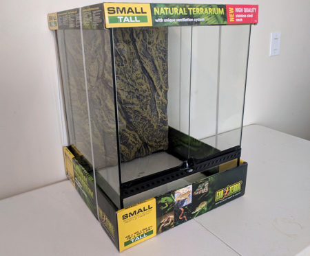 How to Set Up a Tree Frog Terrarium - FrogPets