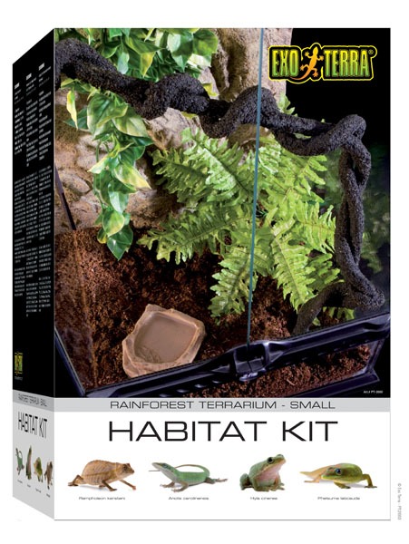 Best Terrarium Kits for Tree Frogs - FrogPets