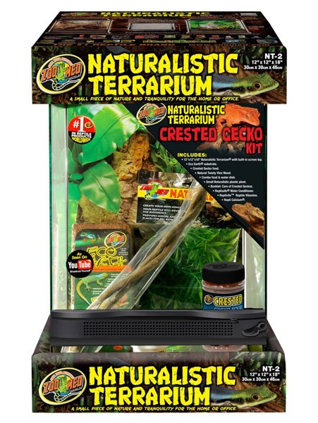 Best Terrarium Kits for Tree Frogs - FrogPets