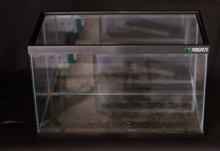 10-Gallon Pacman Frog Habitat Setup Guide (With Pictures) - FrogPets